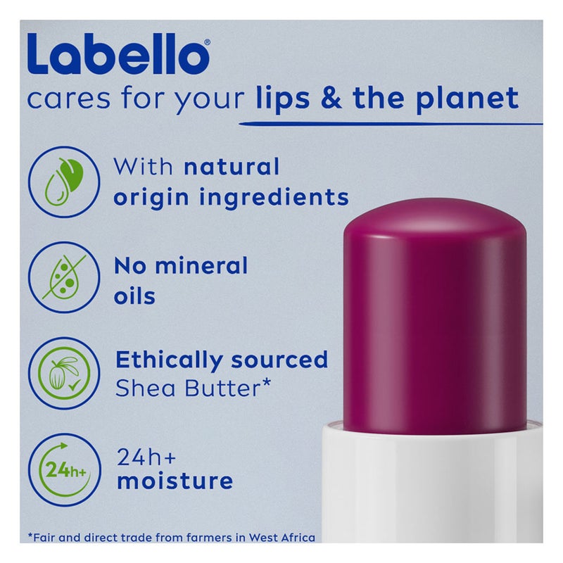 Labello 24H Moisture Black Berry Shine Lip Balm 4.8g - Burgundy Tint ...